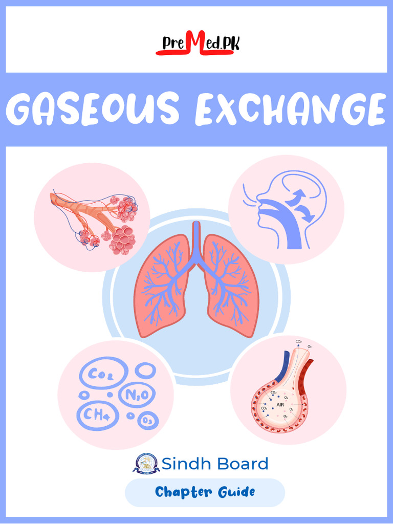 Gaseous Exchange - PreMed | PDF | Respiratory System | Breathing