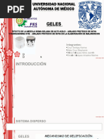 Catálogo Gelycel - v.2020 | PDF | Viscosidad | Absorción (Química)