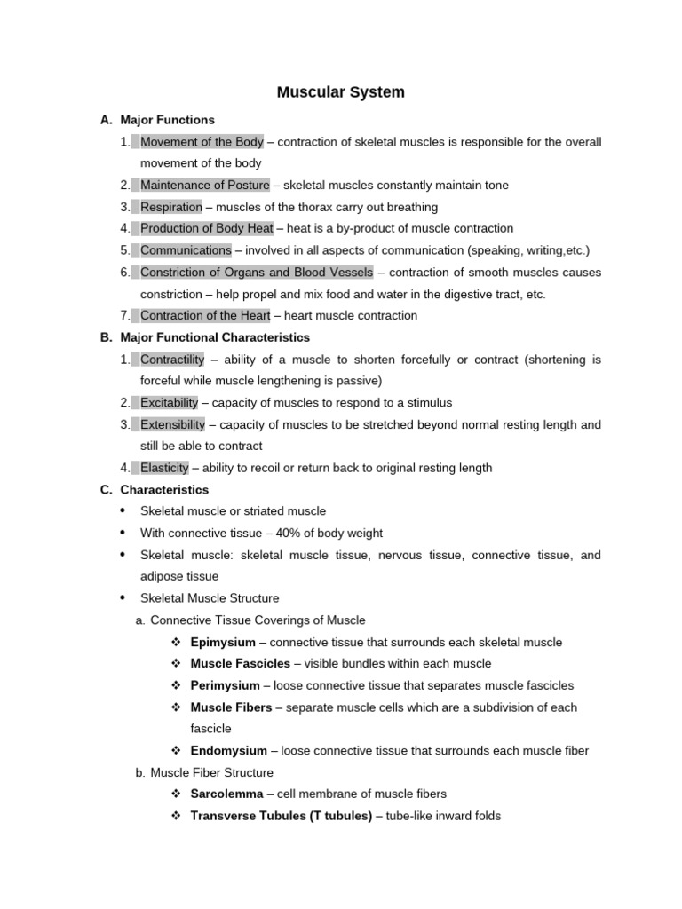 Ch 7 - Muscular System | PDF | Muscle Contraction | Muscle