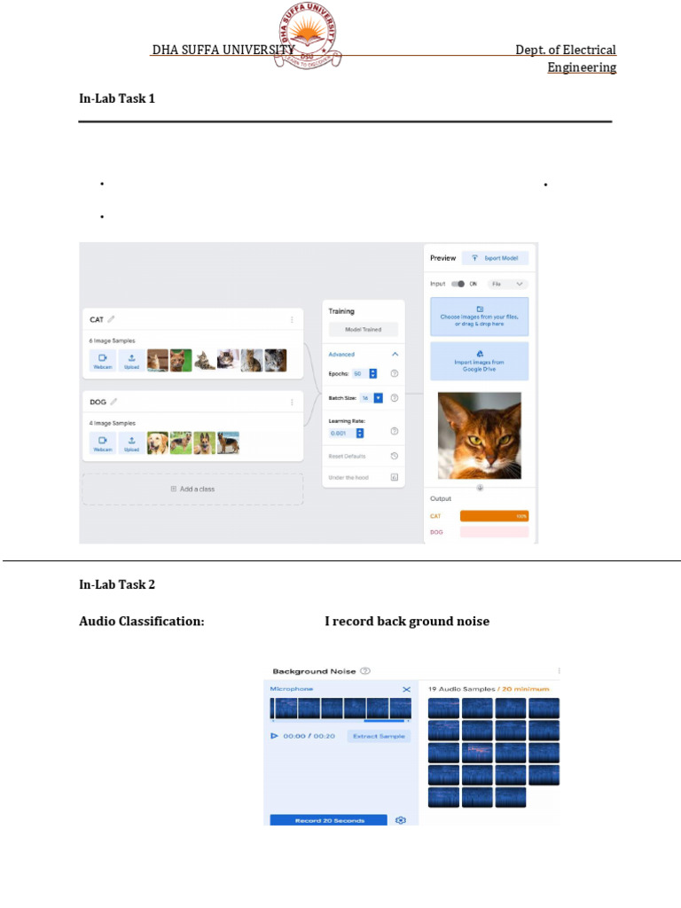 lab 6 | PDF | Statistical Classification | Artificial Intelligence