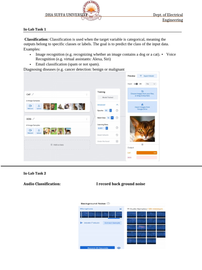 lab 6 | PDF | Statistical Classification | Artificial Intelligence
