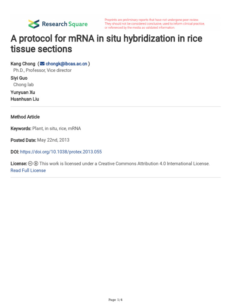 A Protocol For mRNA in Situ Hybridization in Rice Tissue Sections | PDF ...