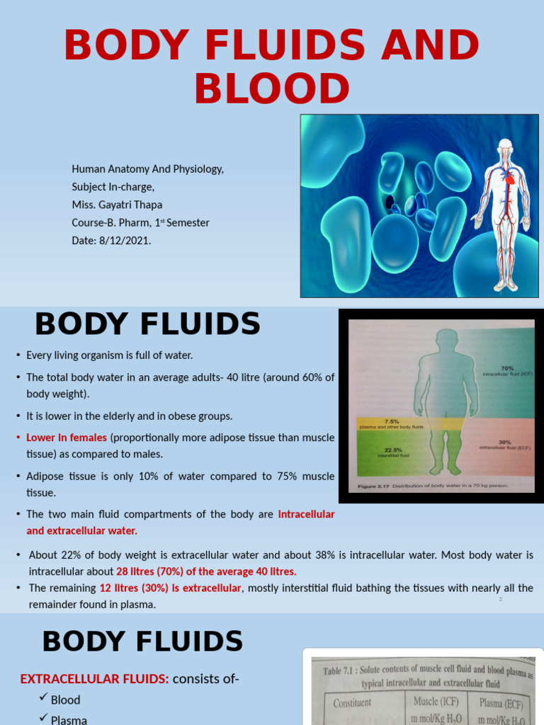 Body Fluids and Blood | PDF | White Blood Cell | Granulocyte