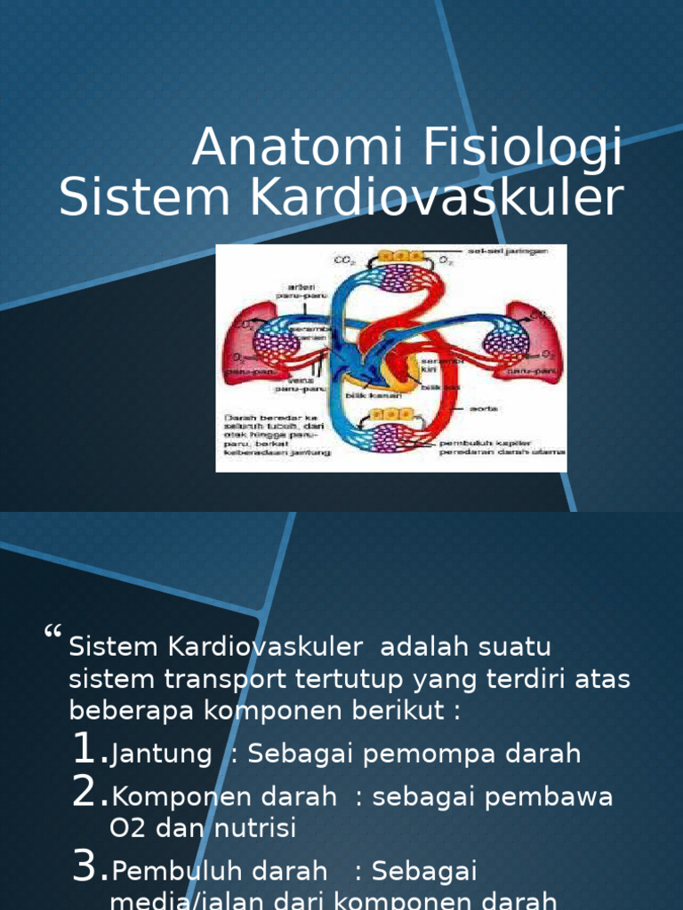 MATERI 1. Anatomi Fisiologi Sistem Kardiovaskuler | PDF