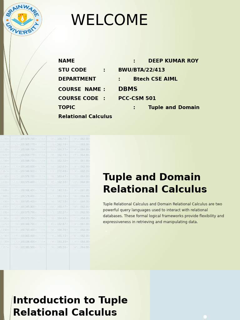 Tuple and Domain Relational Calculus | PDF | Relational Model | Software Engineering