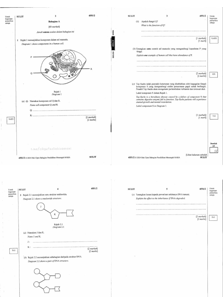 MRSM 2024 - BIO2 (1) - Removed | PDF