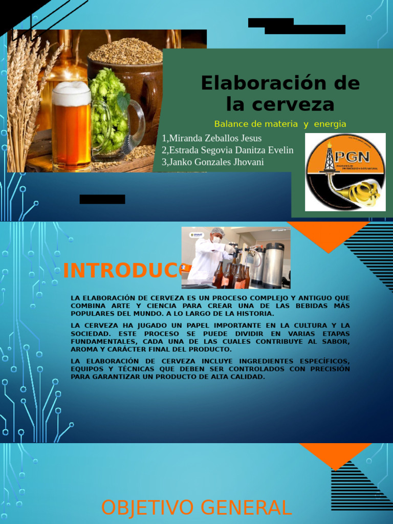 Proyecto Final Elavoración de La Cerveza | PDF | Fabricación de cerveza | Cerveza