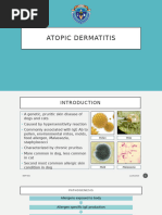 Canine Body Map for Skin Cancer Checks | PDF