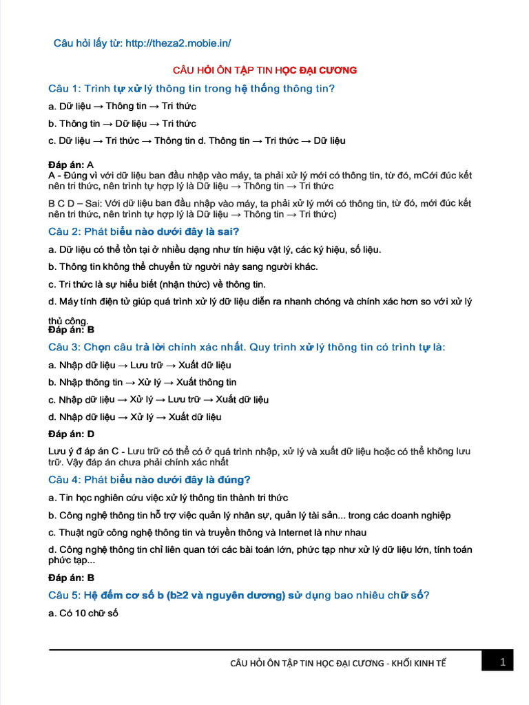 PDF Cau Hoi Trac Nghiem THDC Compress | PDF