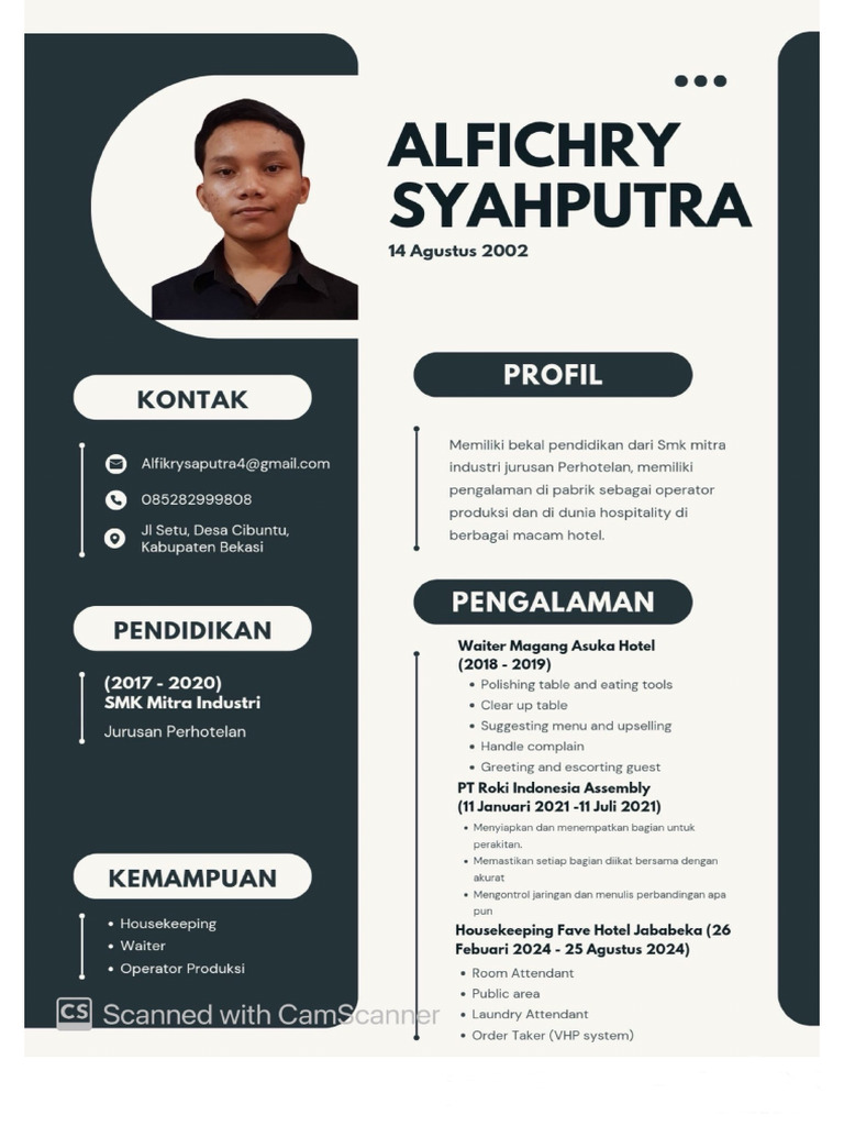 CV Fikri | PDF