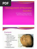 BIND Score | PDF | Diseases And Disorders | Neurology