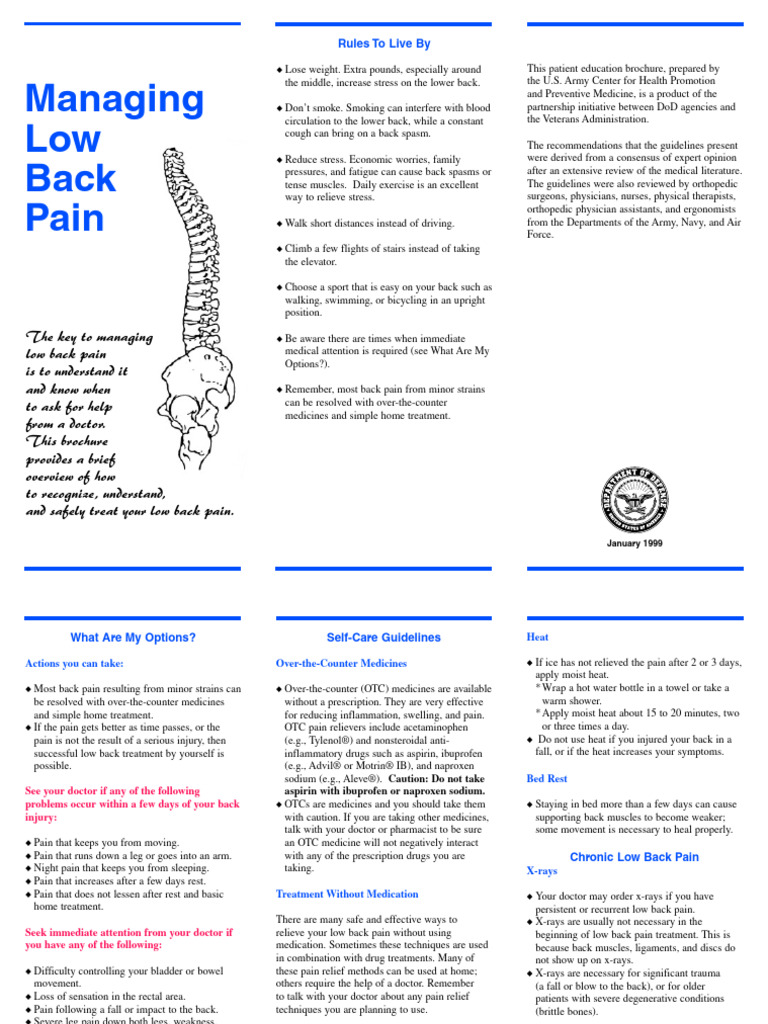 Low Back Pain Brochure | PDF | Back Pain | Low Back Pain