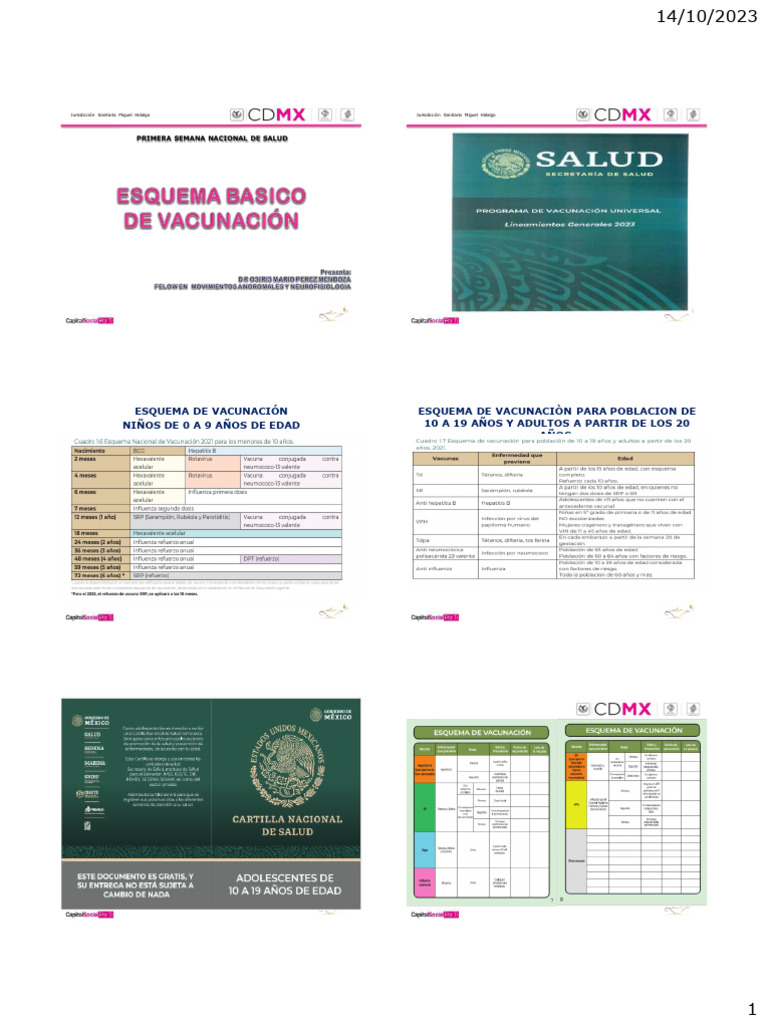 Esquema Basico de Vacunación. ACTUALIZADO | PDF | Vacunas | Causas de la muerte