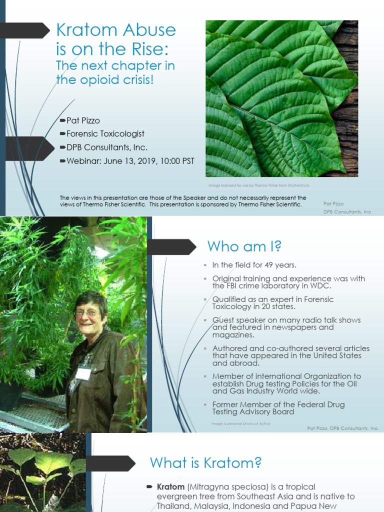 Diapositivas Kratom Toxicologia | PDF | Psychoactive Drugs | Drugs Acting On The Nervous System