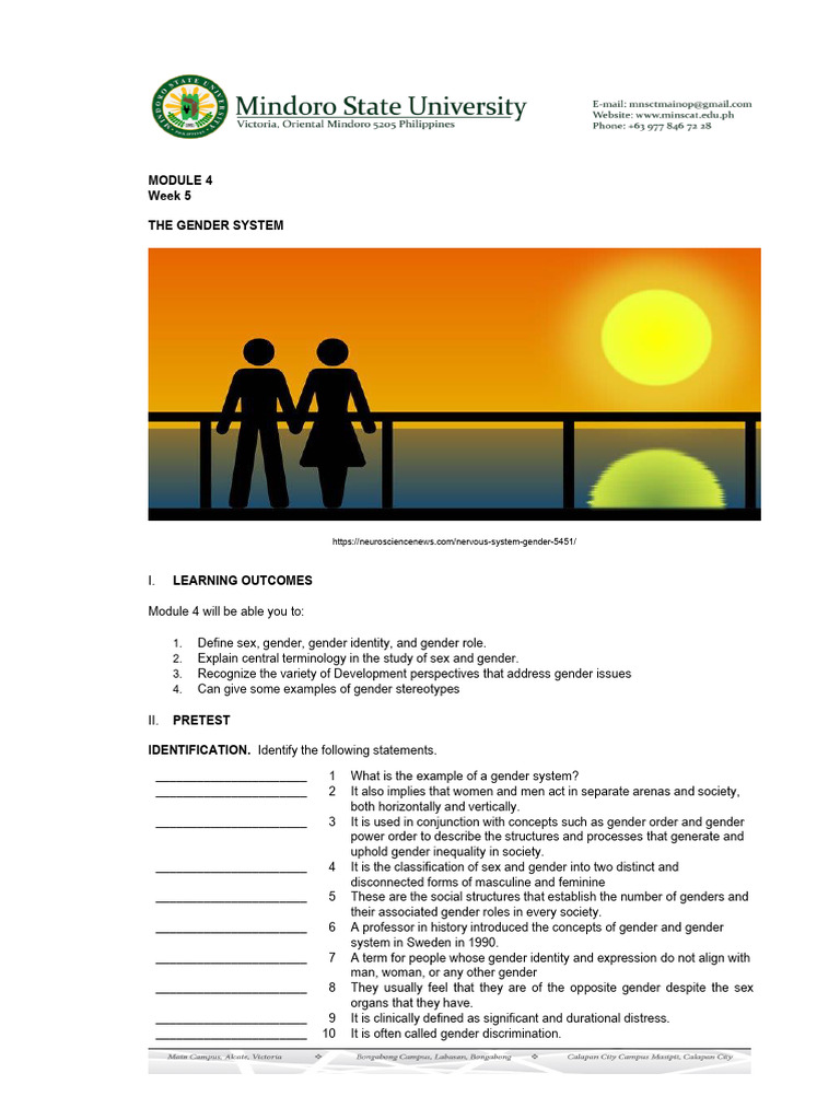 Lesson 4 - The Gender System | PDF | Gender | Gender Studies