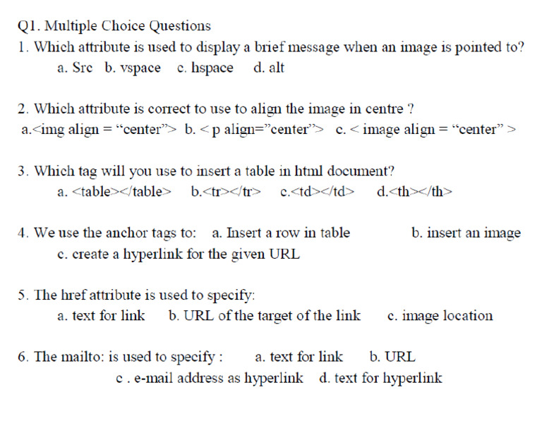 Computer Class 8 Introduction To HTML Assignment 1 | PDF