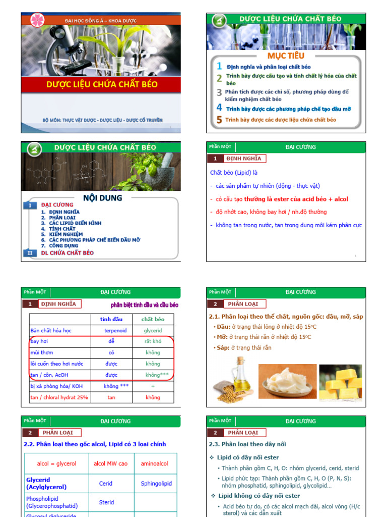 3 - Dau Beo (2022) | PDF