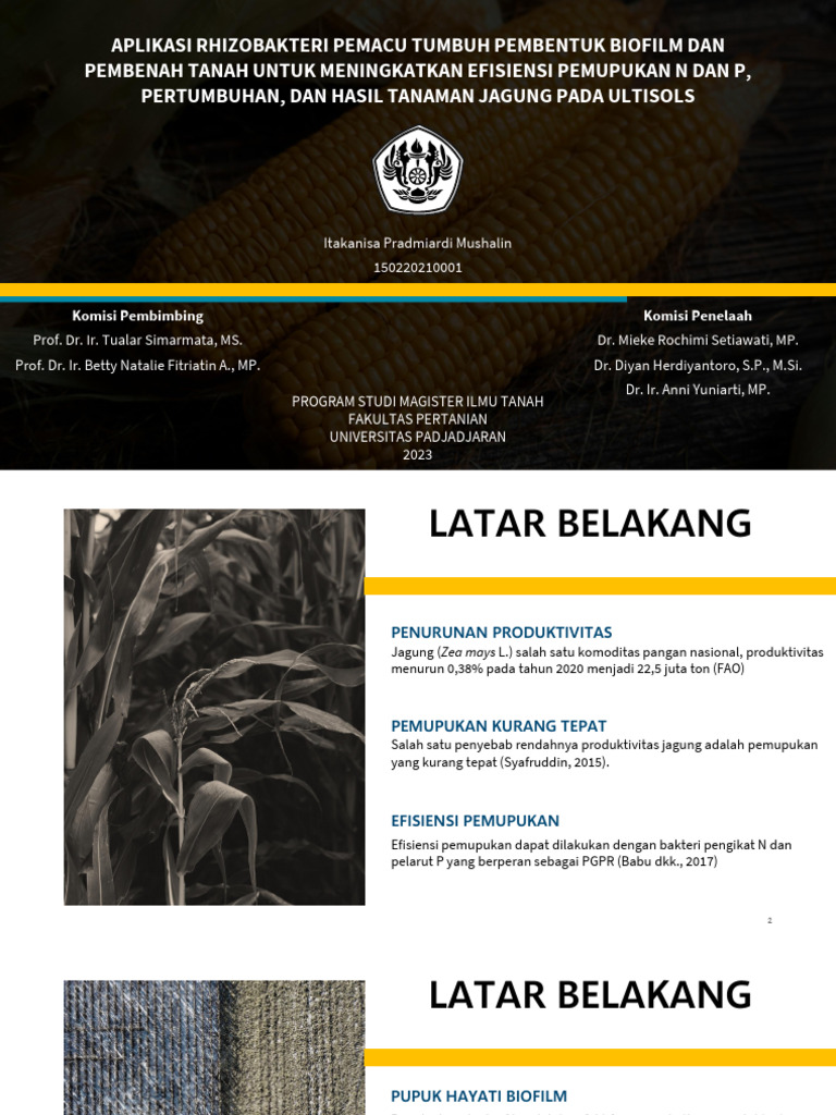 Usulan Riset Aplikasi Rhizobakteri Pemacu Tumbuh Pembentuk Biofilm Dan ...