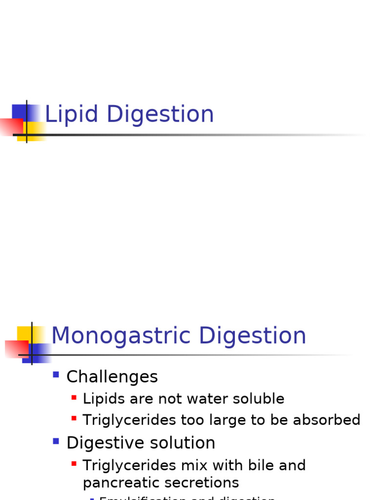 Lipid Digestion and Absorption | PDF | Bile | Fatty Acid