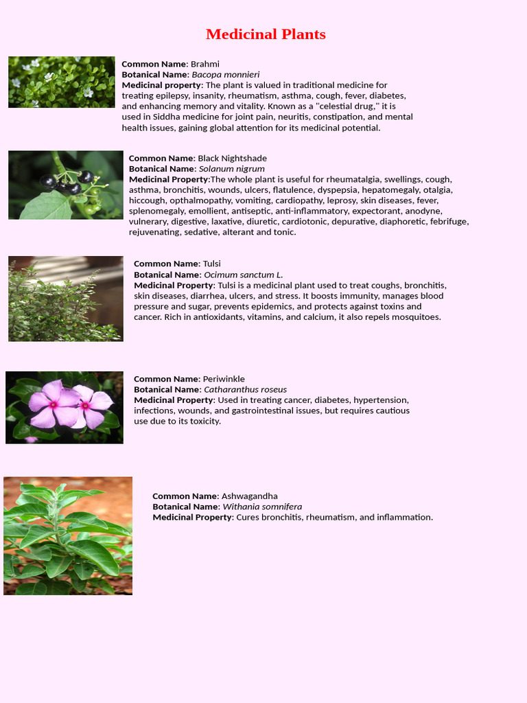 Assignment Format | PDF