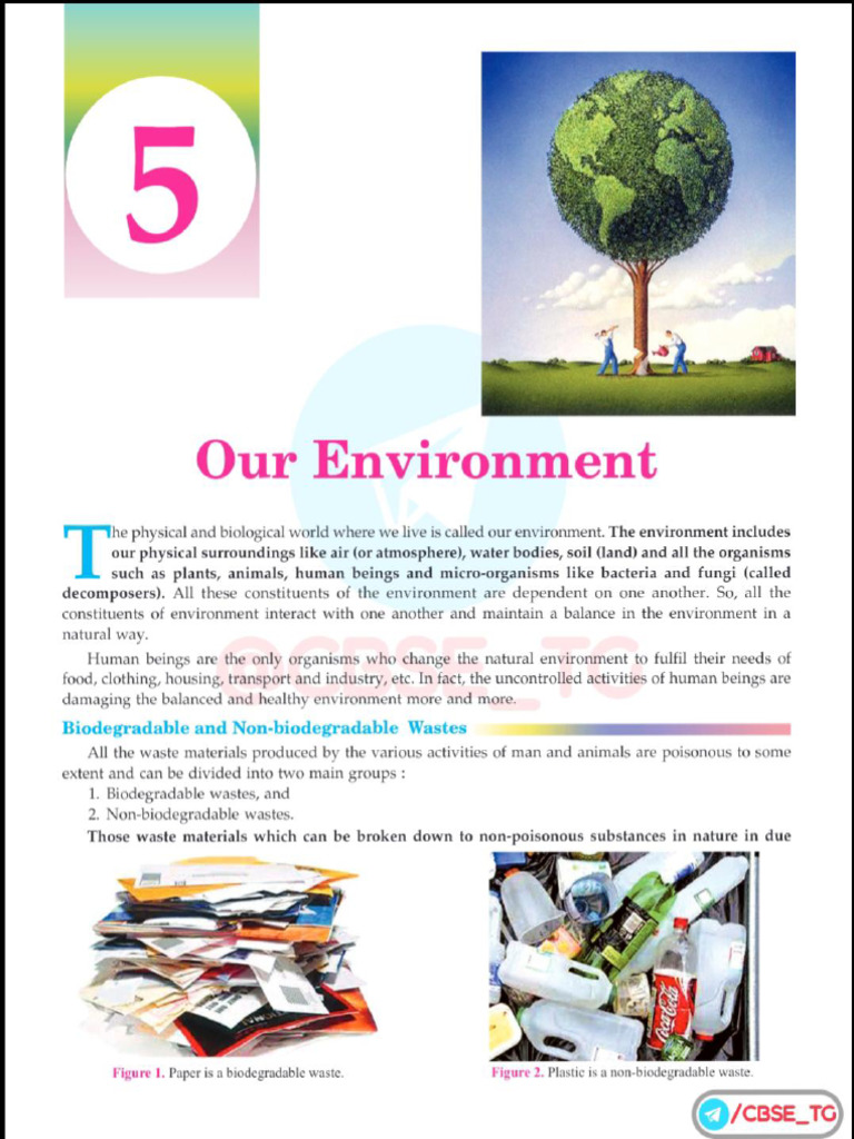 Biology Class 10 Ch-5 Our Environment | PDF