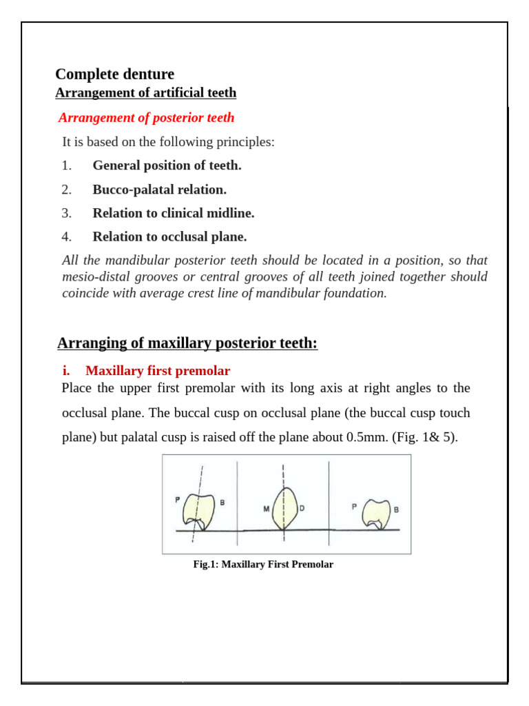 Arrangment of Posterior Teeth | PDF | Dentistry | Dental Anatomy