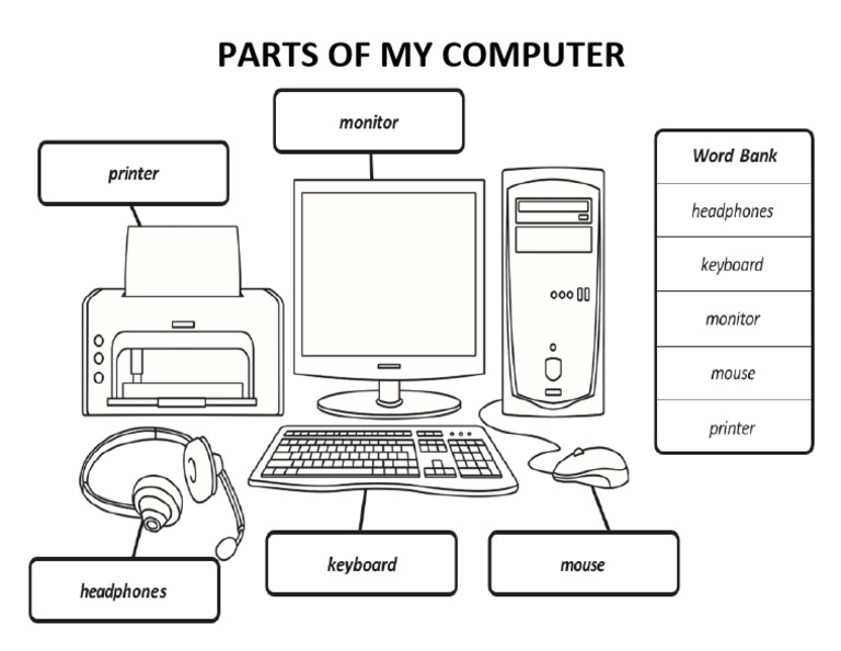 YEAR1 (Parts of A Computer) | PDF