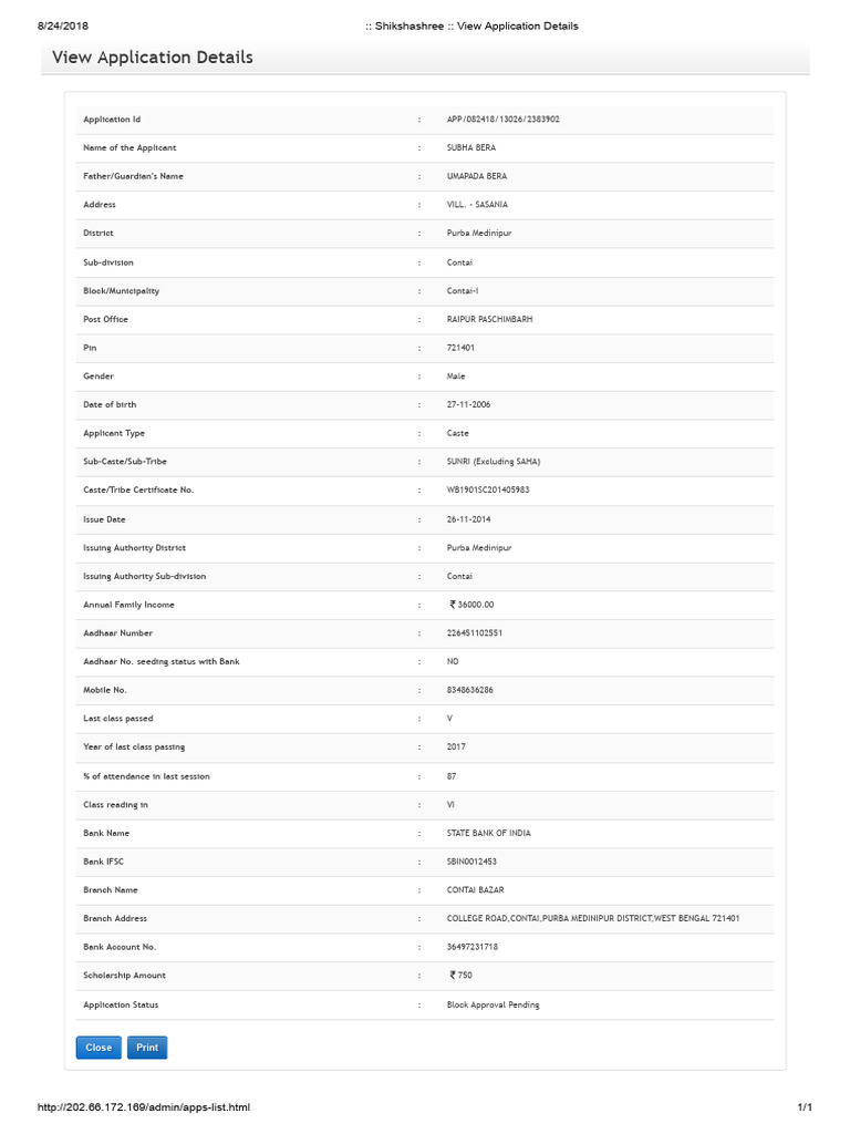View Application Details: Close Print | PDF