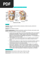 Pruebas de Bostezo en Rodilla | PDF | Rodilla | Medicina CLINICA