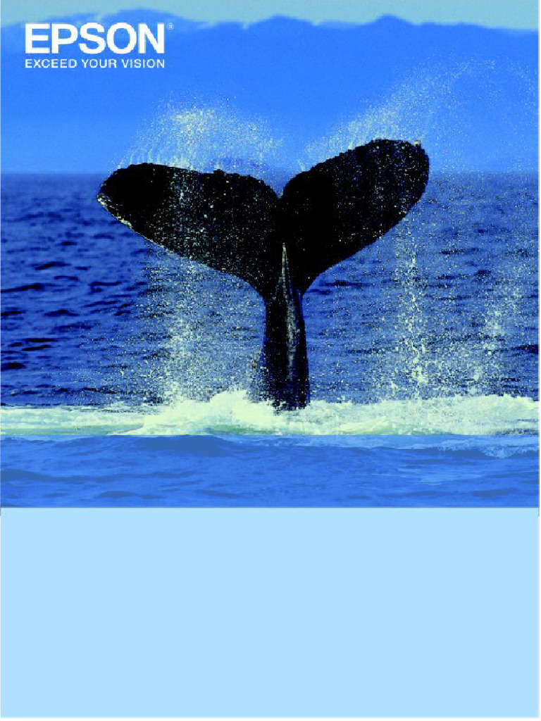 Up Os Driver User Guide Revs | PDF | Parameter (Computer Programming) | Printer (Computing)