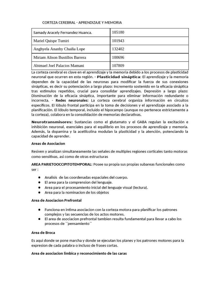 Corteza Cerebral Aprendizaje Y Memoria Pdf Memoria Neuroplasticidad
