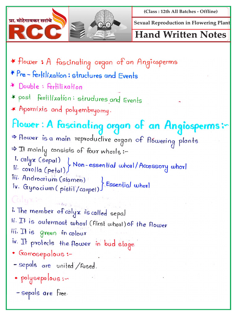 Sexular Repoduction in Flowering Plants 2 Offline | PDF