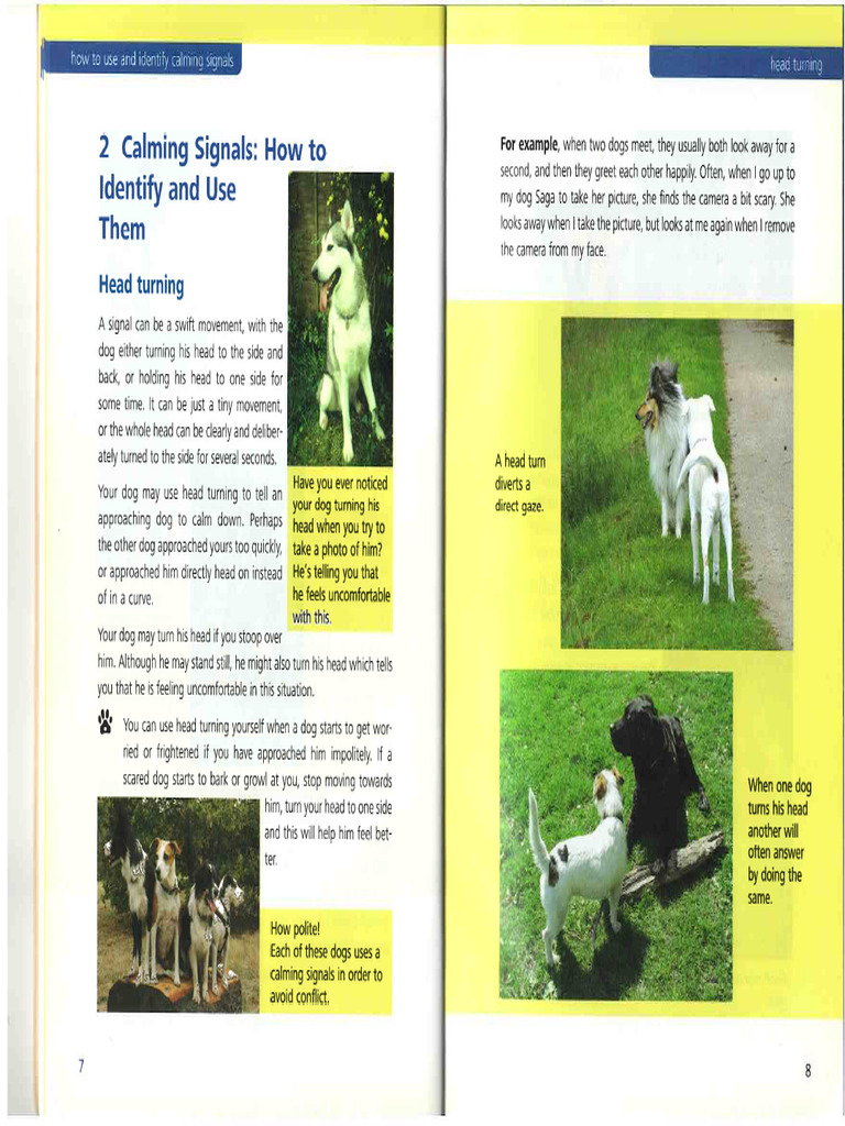 Rugaas, Turid - On Talking Terms With Dogs - Cap 2 - Calming Signals ...