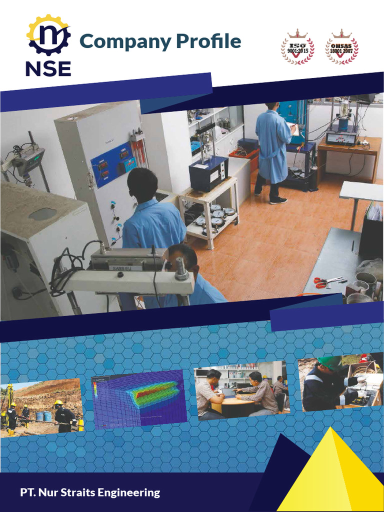 Nse Company Profile Update Sept 2018 | PDF
