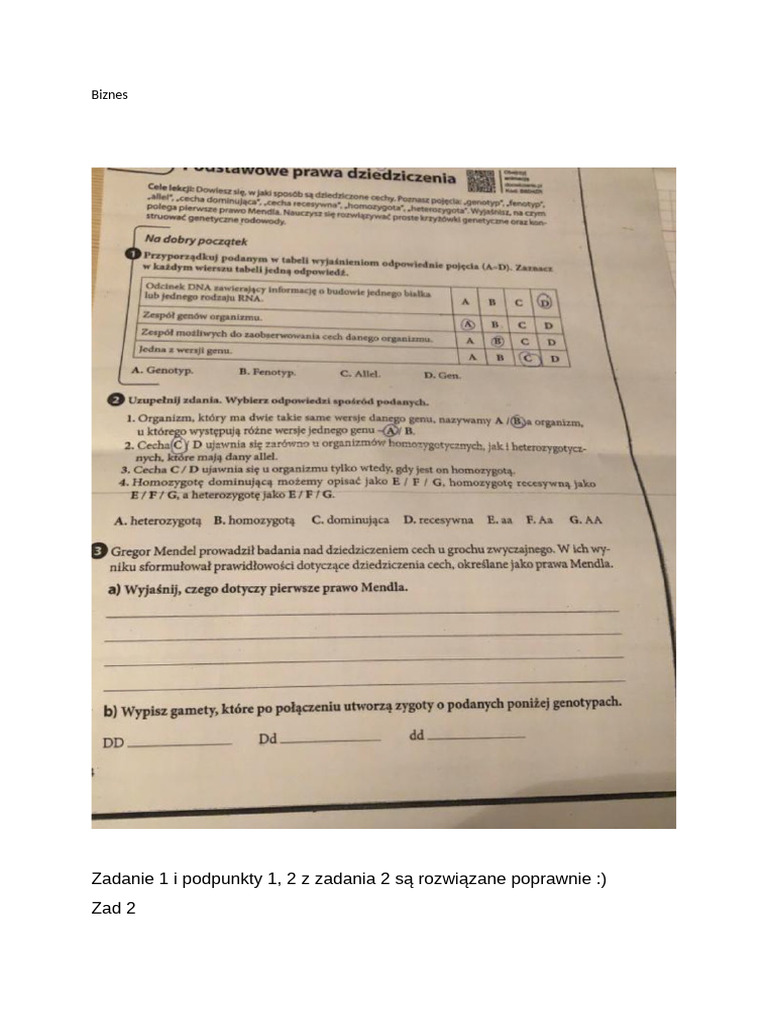 Biznes | PDF