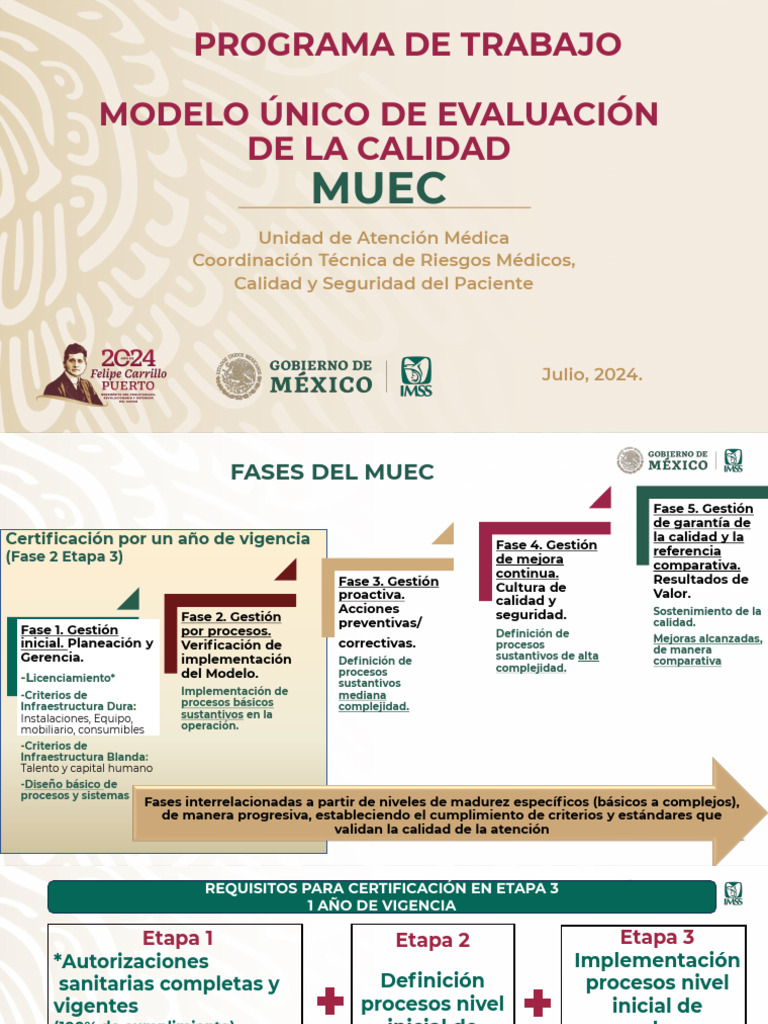 Programa - de Trabajo - Muec 2025 Final | PDF | Hospital