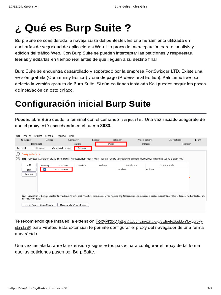 Guía de Configuración de Burp Suite | PDF | Servidor proxy | Internet
