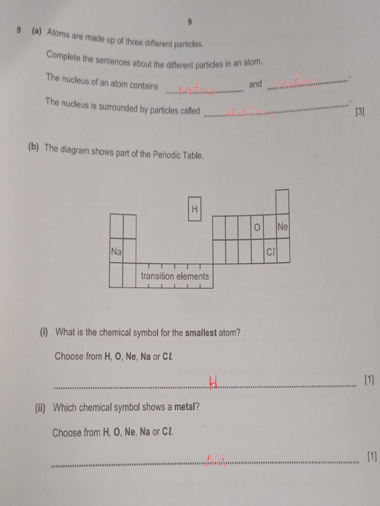 Year 8 Questions | PDF