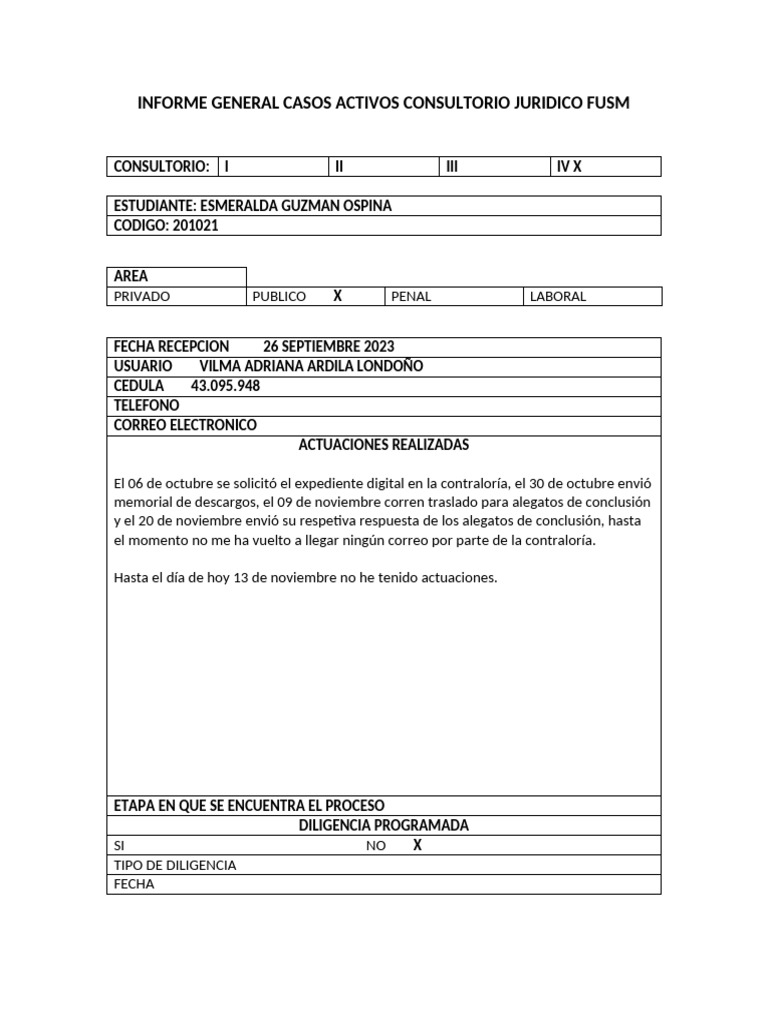 Formato Informe Vilma Ardila | PDF