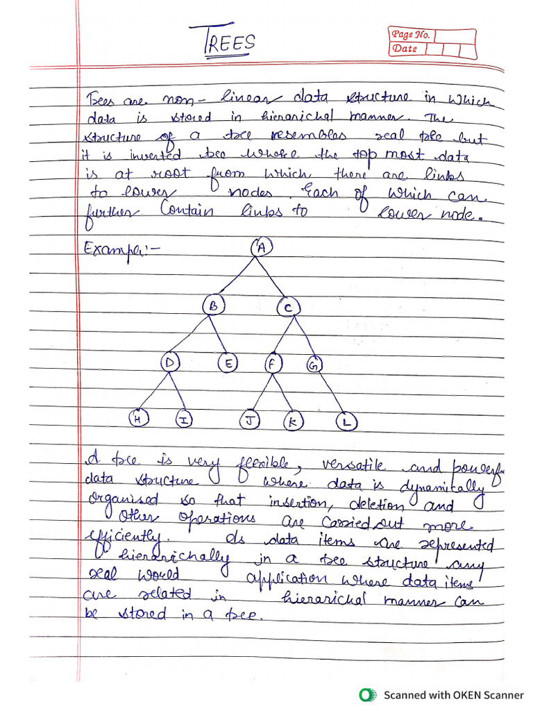 Tree | PDF