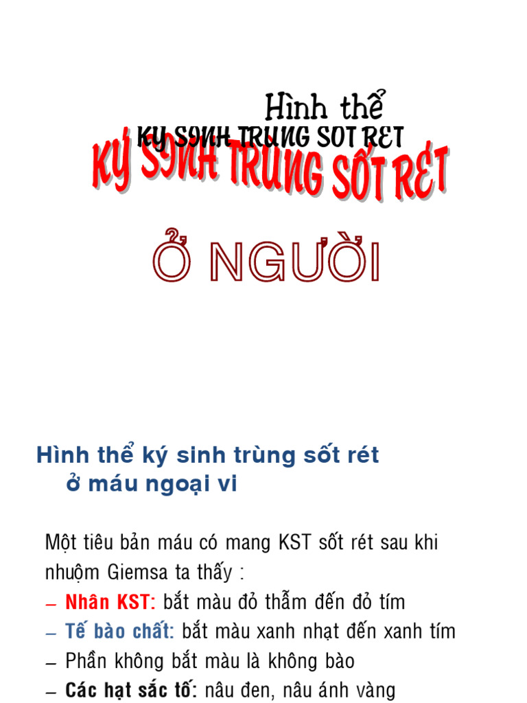 KST SR Thuc Hanh | PDF