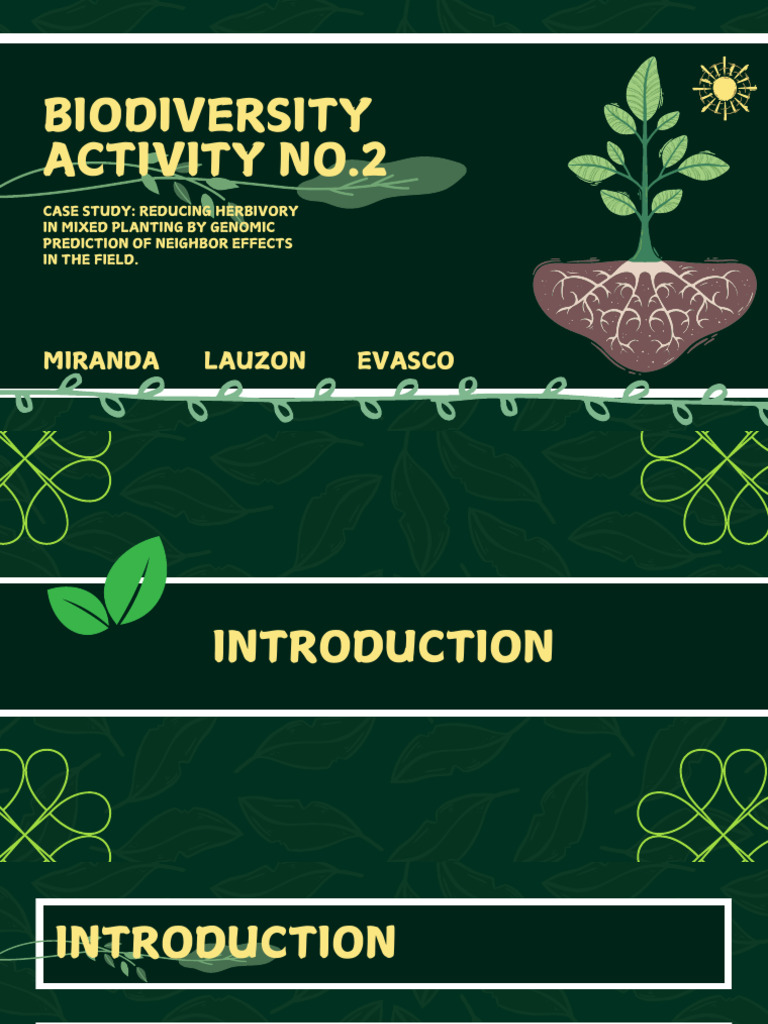 The Basics of Photosynthesis in Plants Educational Presentation in Green and Yellow Illustrative ...