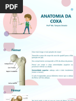 Anatomia dos Músculos Anteriores da Coxa | PDF | Sistema Locomotor ...