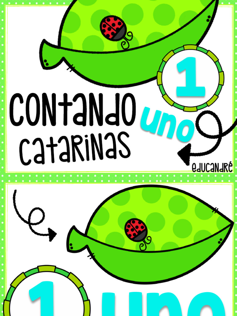 Contando Catarinas | PDF