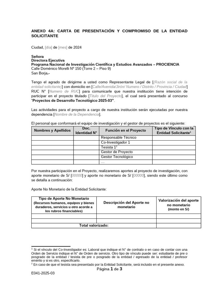 Anexo 4A - PDT-2025 | PDF