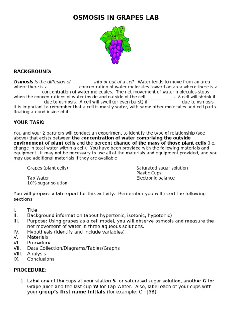 Osmosis Lab Grapes | PDF | Osmosis
