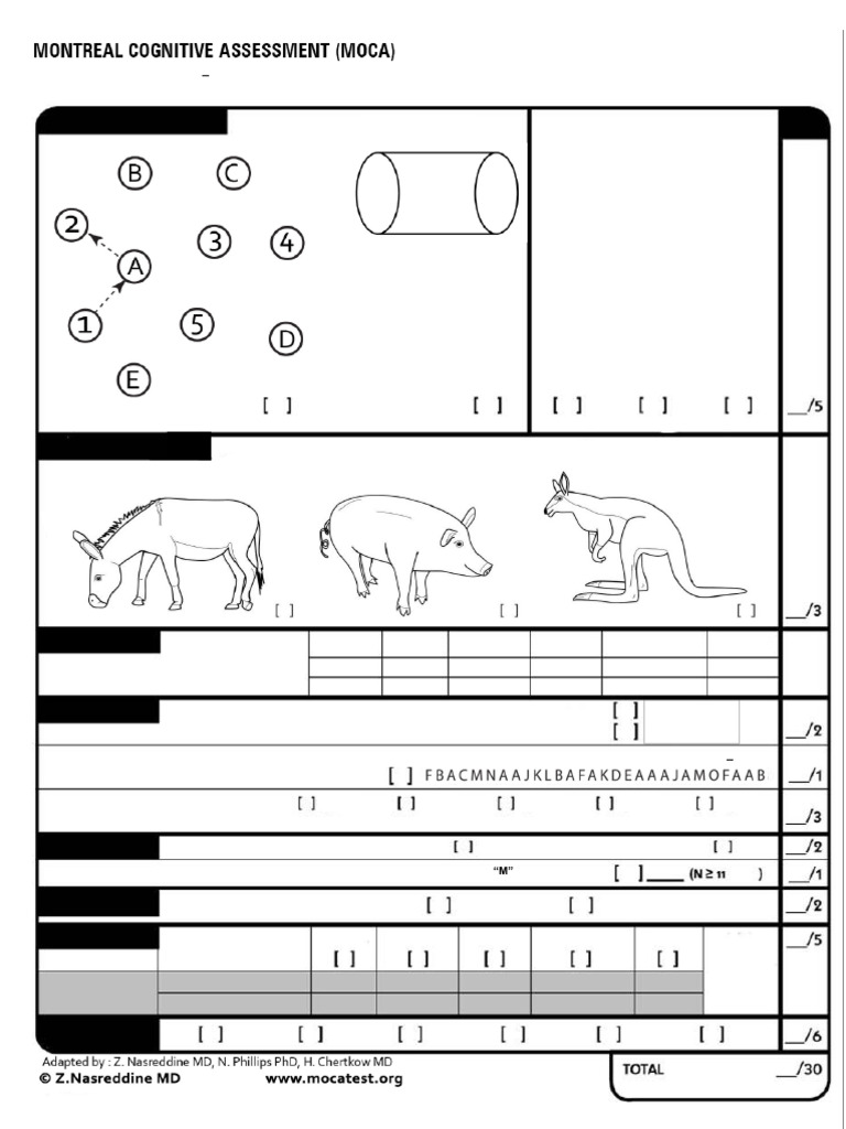 MoCA Versão Alternativa | PDF