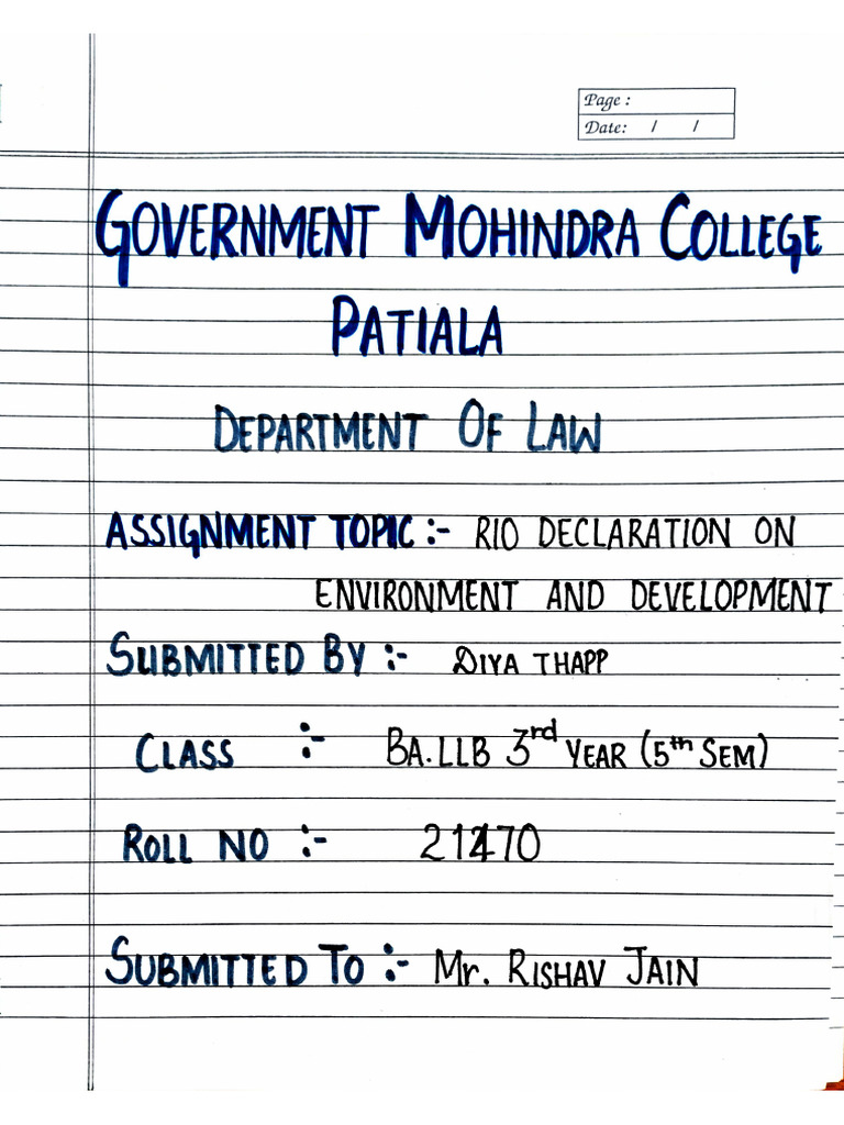 Rio Declaration | PDF