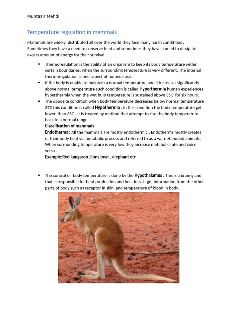 Thermoregulation in Mammal | PDF | Thermoregulation | Physiology