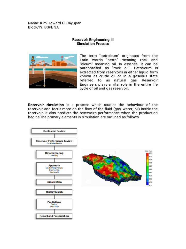 Simulation Pdf